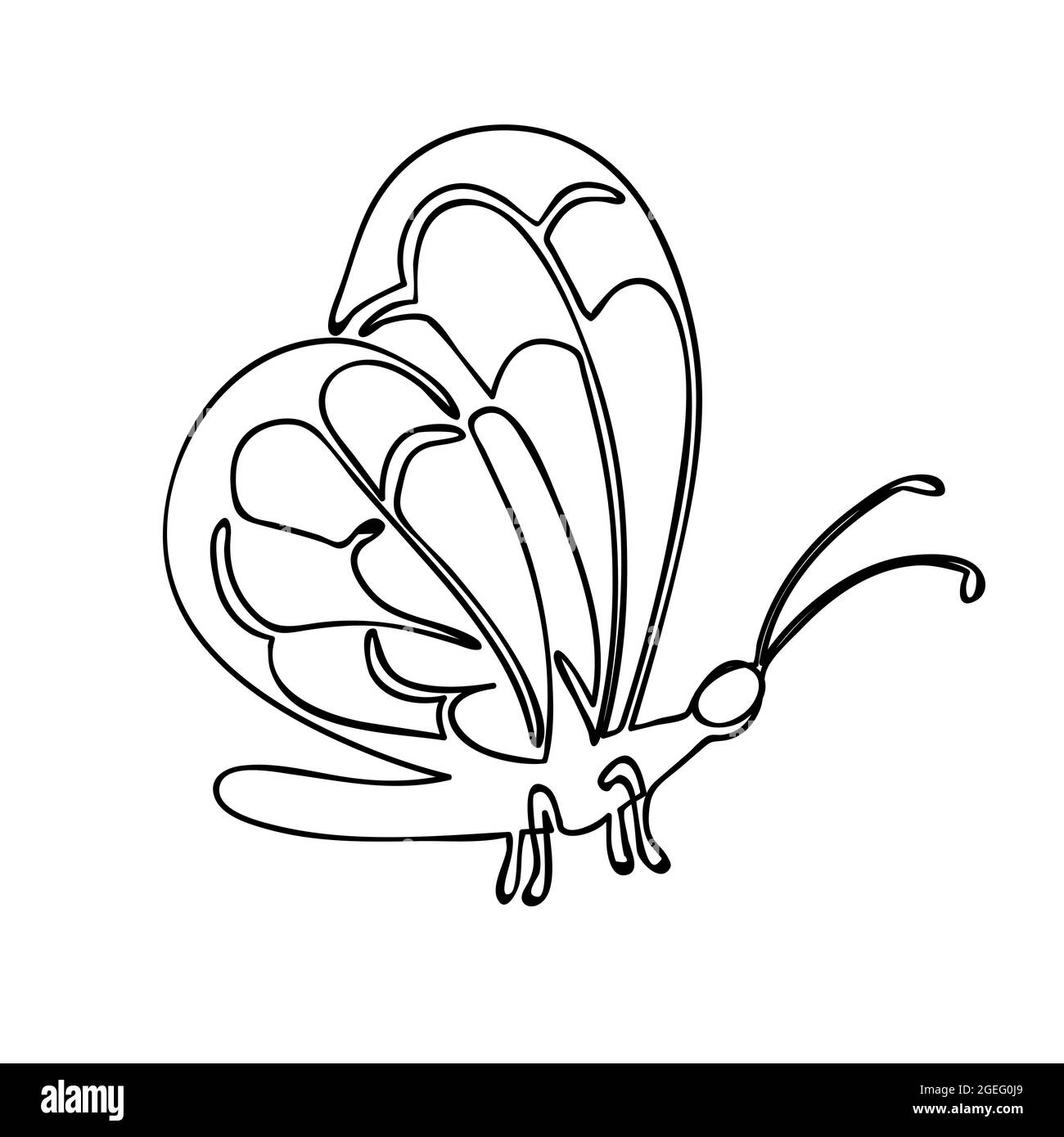 Butterfly with folded wings sitting on white background. Drawn in one ...