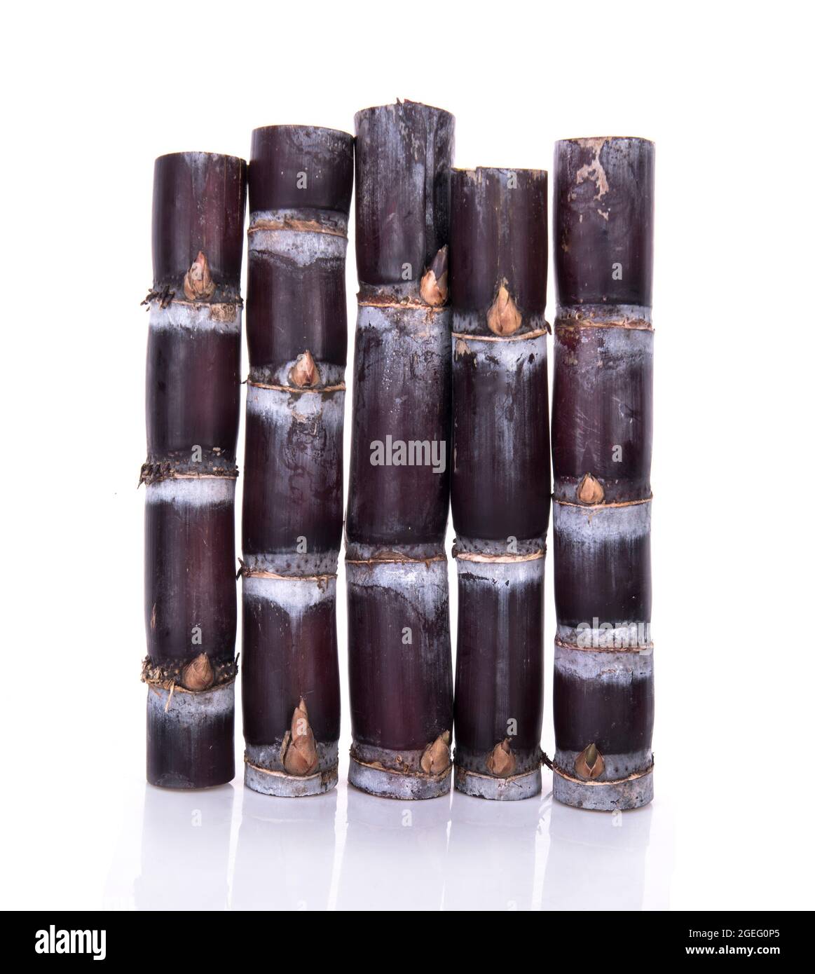 Cane isolated on white background Stock Photo - Alamy