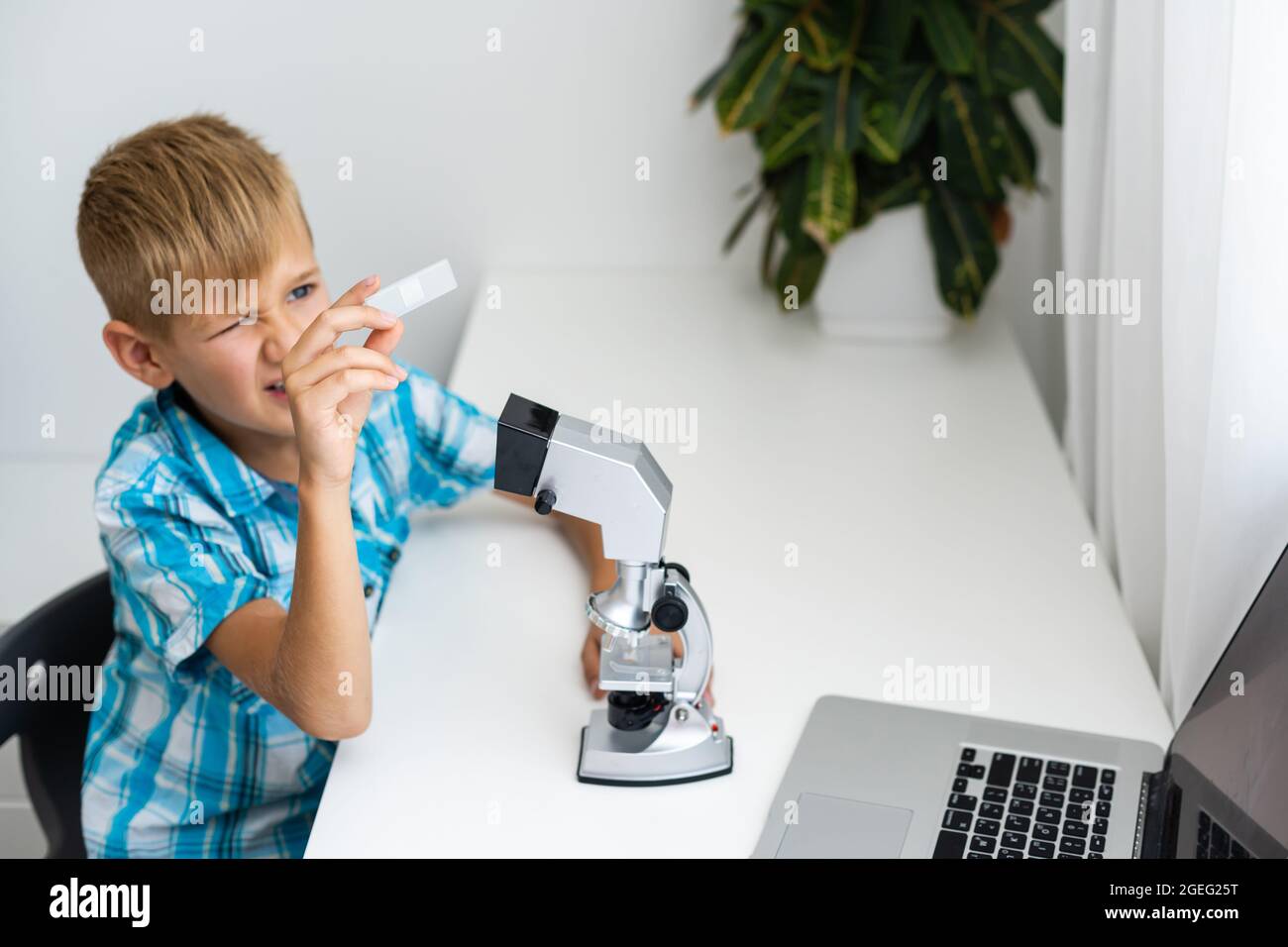 Children in classroom - work with microscope Stock Photo - Alamy