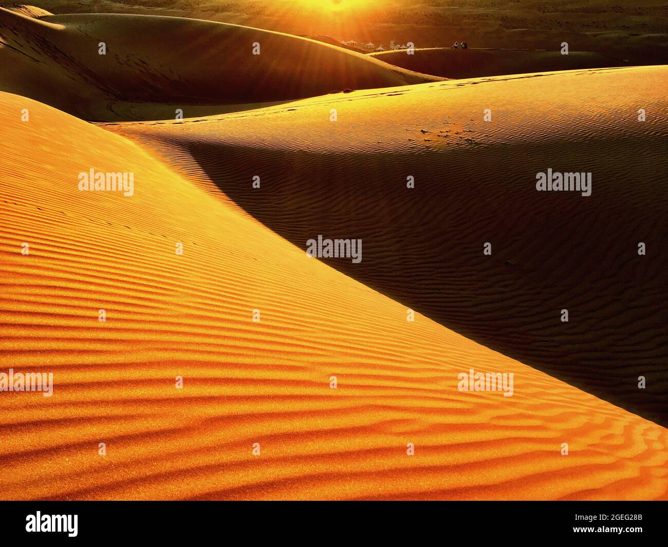 Sunny landscape of Ramlat al Wahiba desert sand in Oman Stock Photo - Alamy