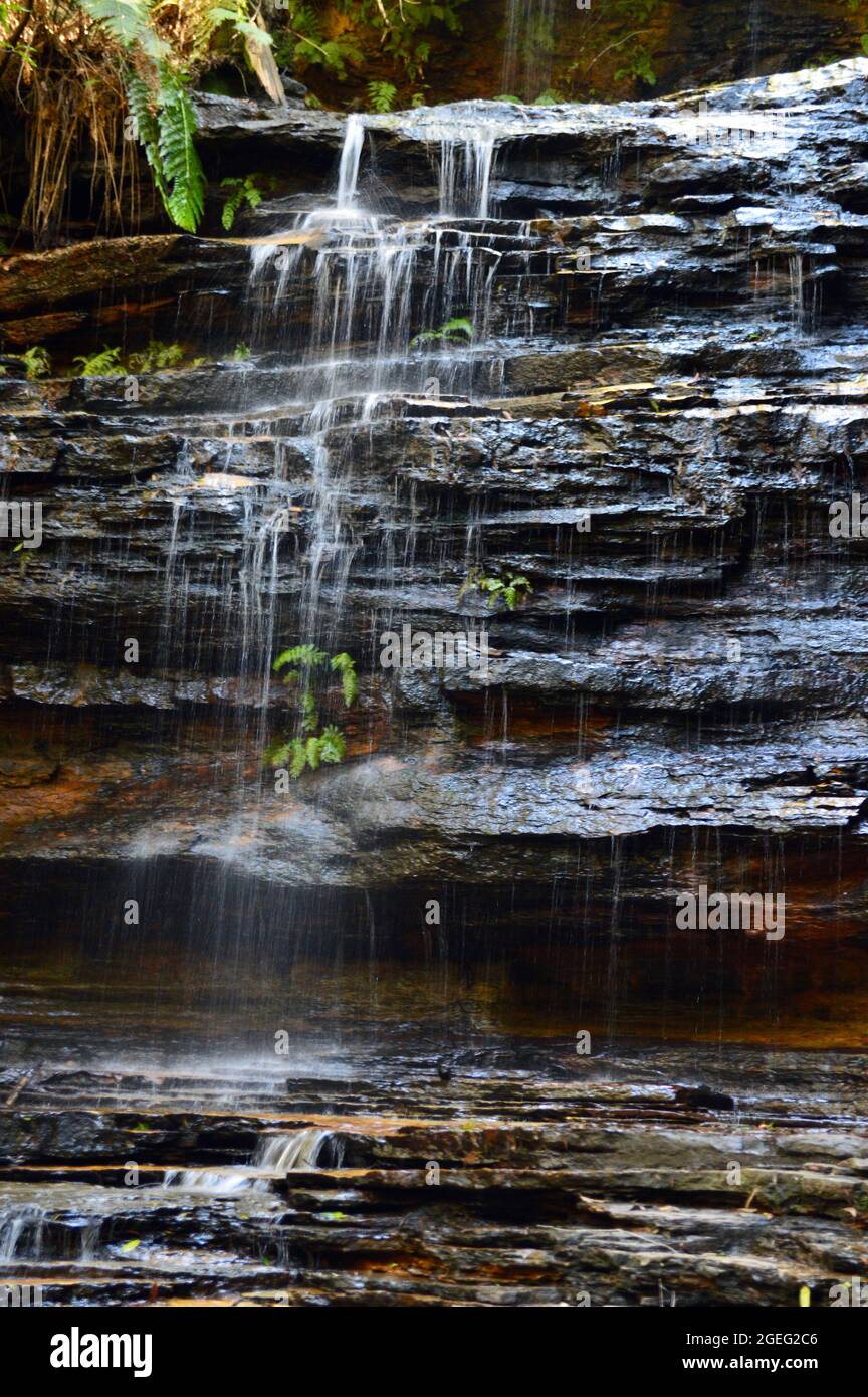 South Lawson Waterfall Circuit Walkk Stock Photo - Alamy