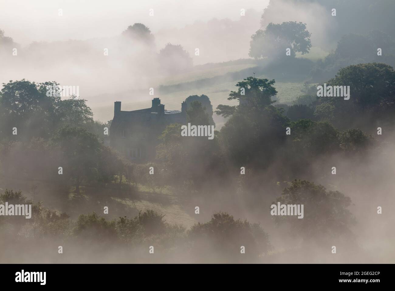 Morning mist clearing around farmhouse and trees, near Glastonbury ...
