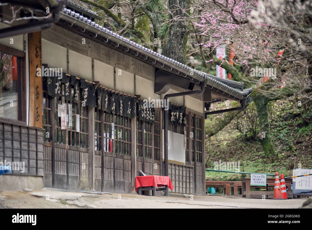 View of an old wooden house next to huge forest in the morning in Japan ...