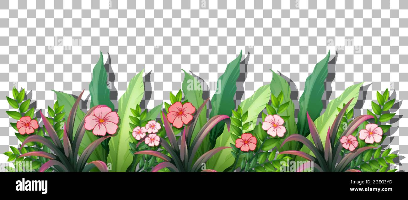 Various tropical plants on transparent background illustration Stock ...