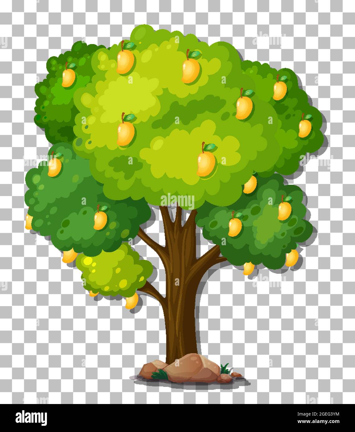 Mango tree on transparent background illustration Stock Vector Image ...
