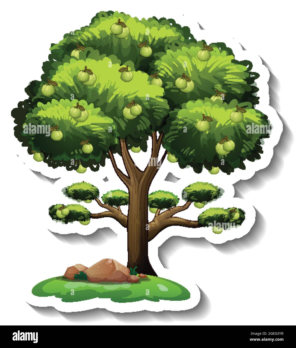 Guava tree sticker on white background illustration Stock Vector Image ...
