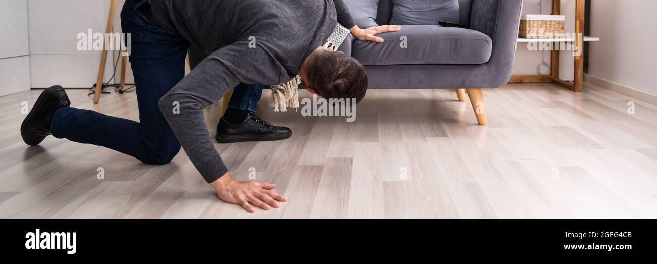 Man searching for something hi-res stock photography and images - Alamy