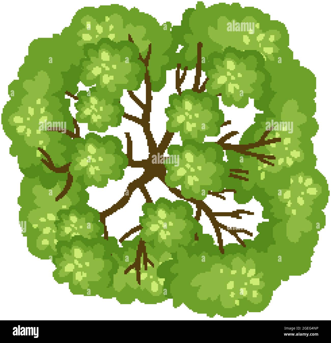 Aerial view branch Stock Vector Images - Alamy