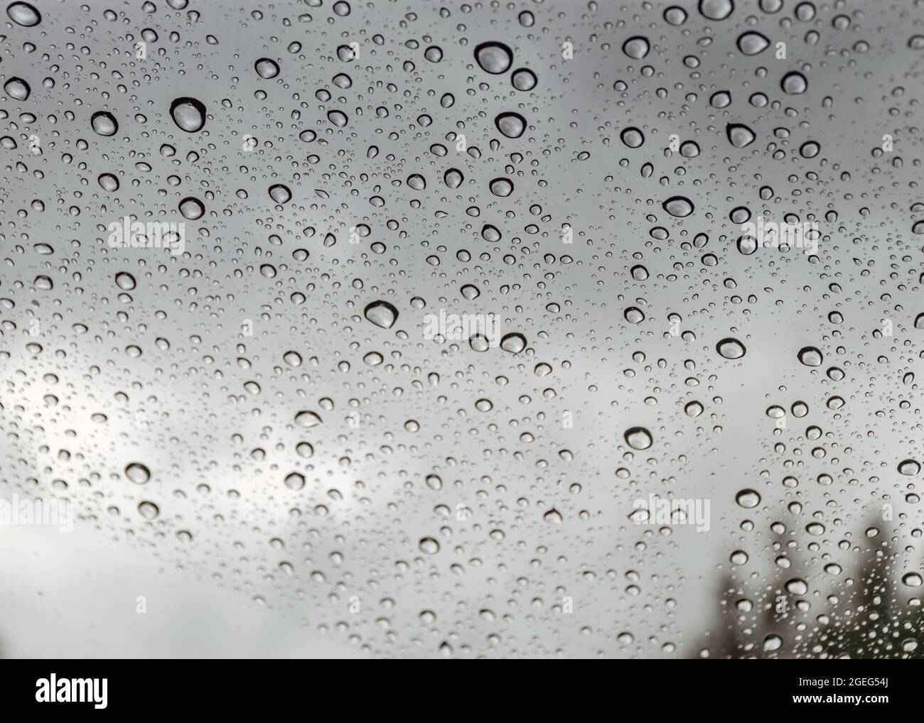 picture with raindrops on the window, drop texture, suitable for ...
