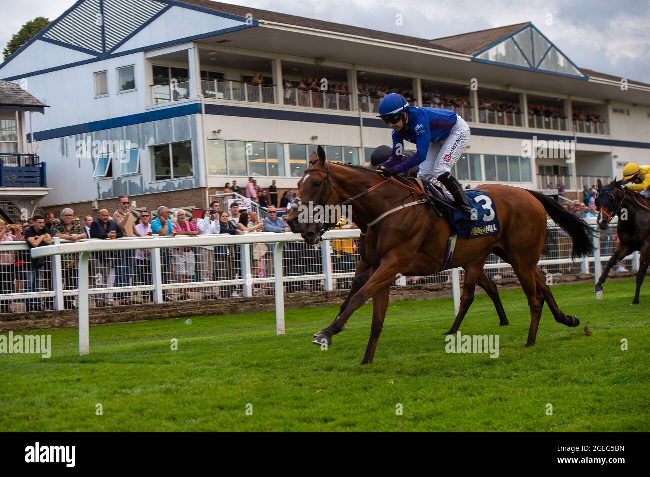 Hayley turner racing league hi-res stock photography and images - Alamy