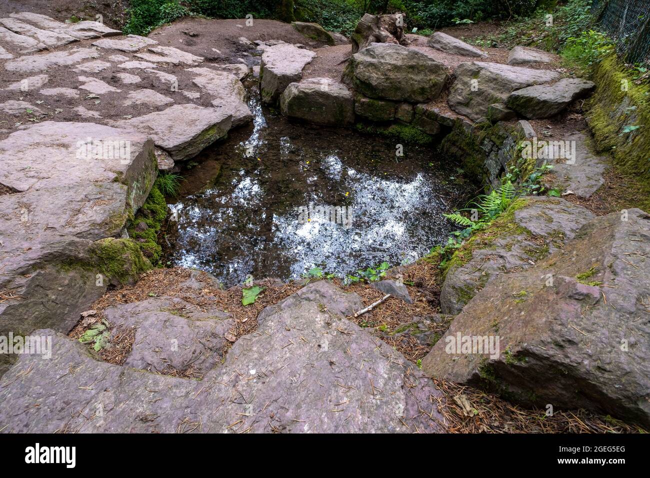 Broceliande Forest, Paimpont Forest (Brittany, north western France ...