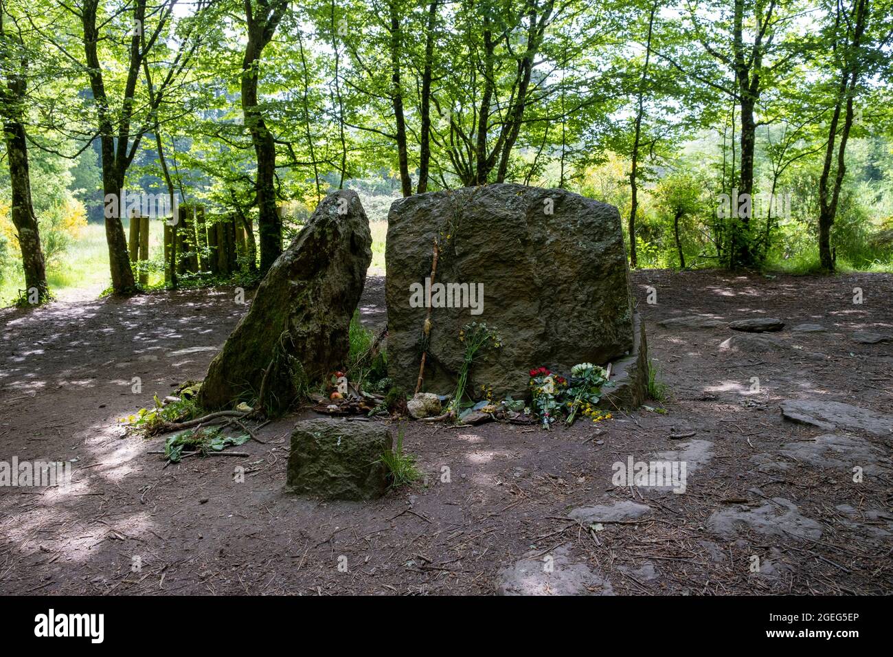 Broceliande Forest, Paimpont Forest: Merlin's Tomb. The fairy Vivien ...