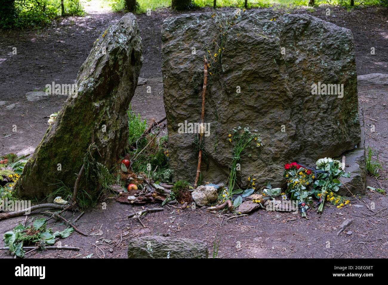 Broceliande Forest, Paimpont Forest: Merlin's Tomb. The fairy Vivien ...