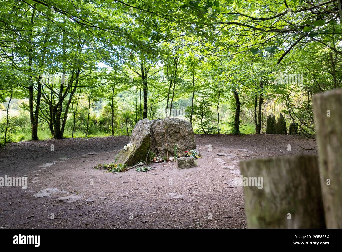 Broceliande Forest, Paimpont Forest: Merlin's Tomb. The fairy Vivien ...