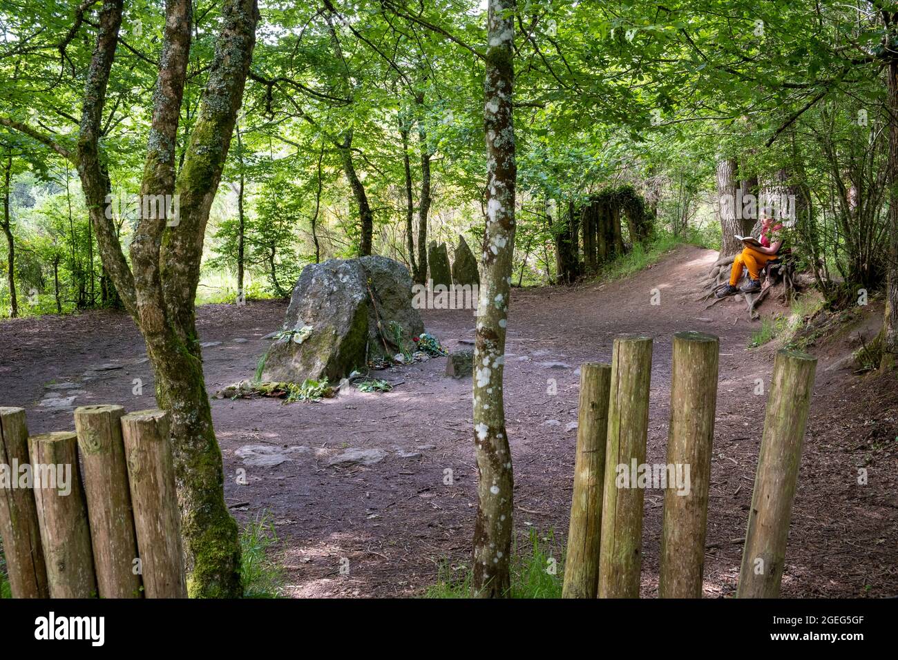 Broceliande Forest, Paimpont Forest: Merlin's Tomb. The fairy Vivien ...