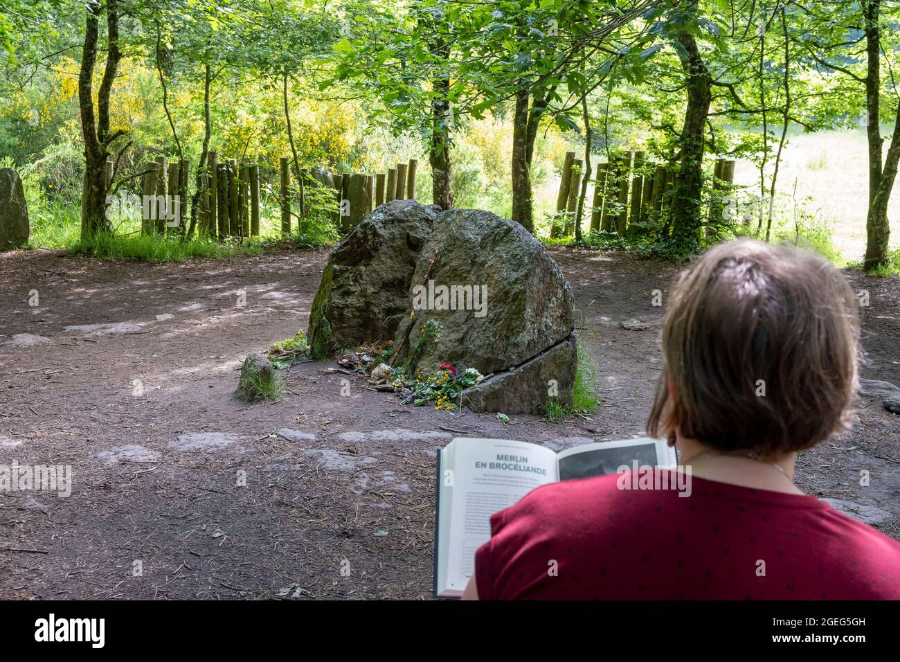 Broceliande Forest, Paimpont Forest: Merlin's Tomb. The fairy Vivien ...