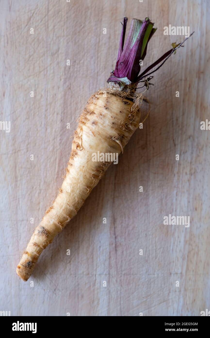 Parsnips (pastinaca sativa), root vegetable, tuber Stock Photo - Alamy