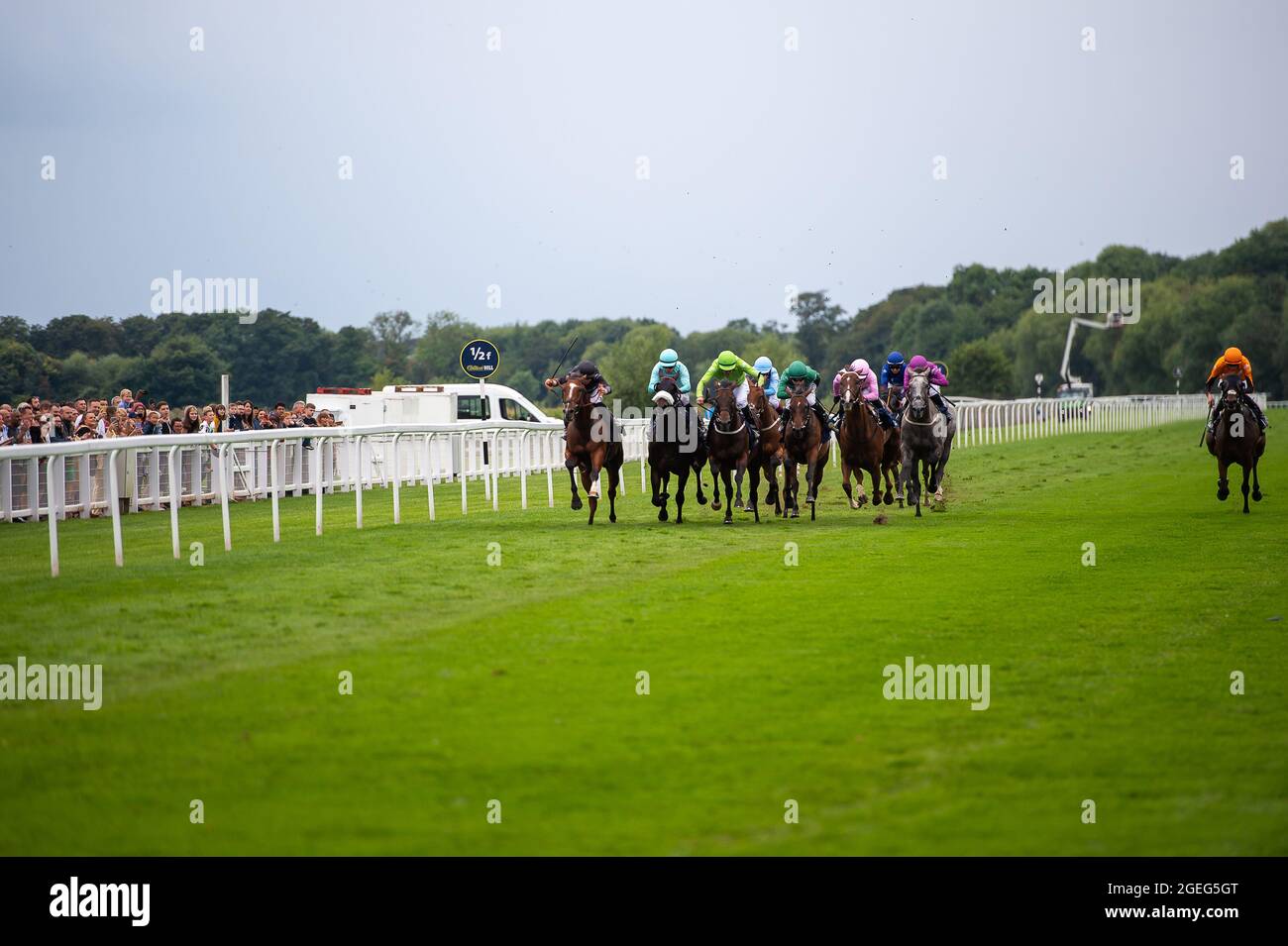 Ay at the races hi-res stock photography and images - Alamy