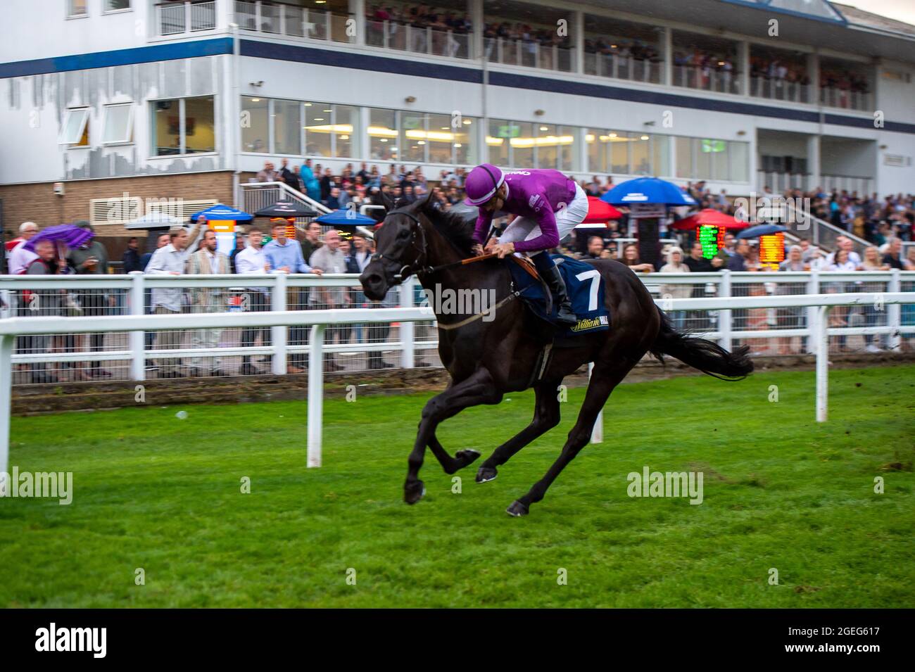 Piaff hi-res stock photography and images - Alamy