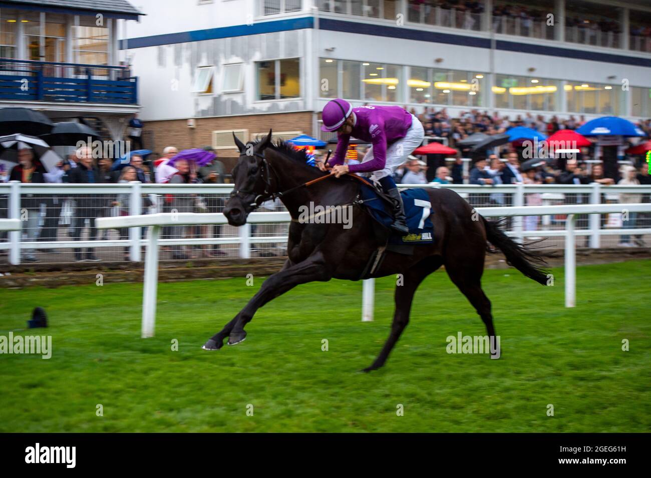 Team bullionvault hi-res stock photography and images - Alamy