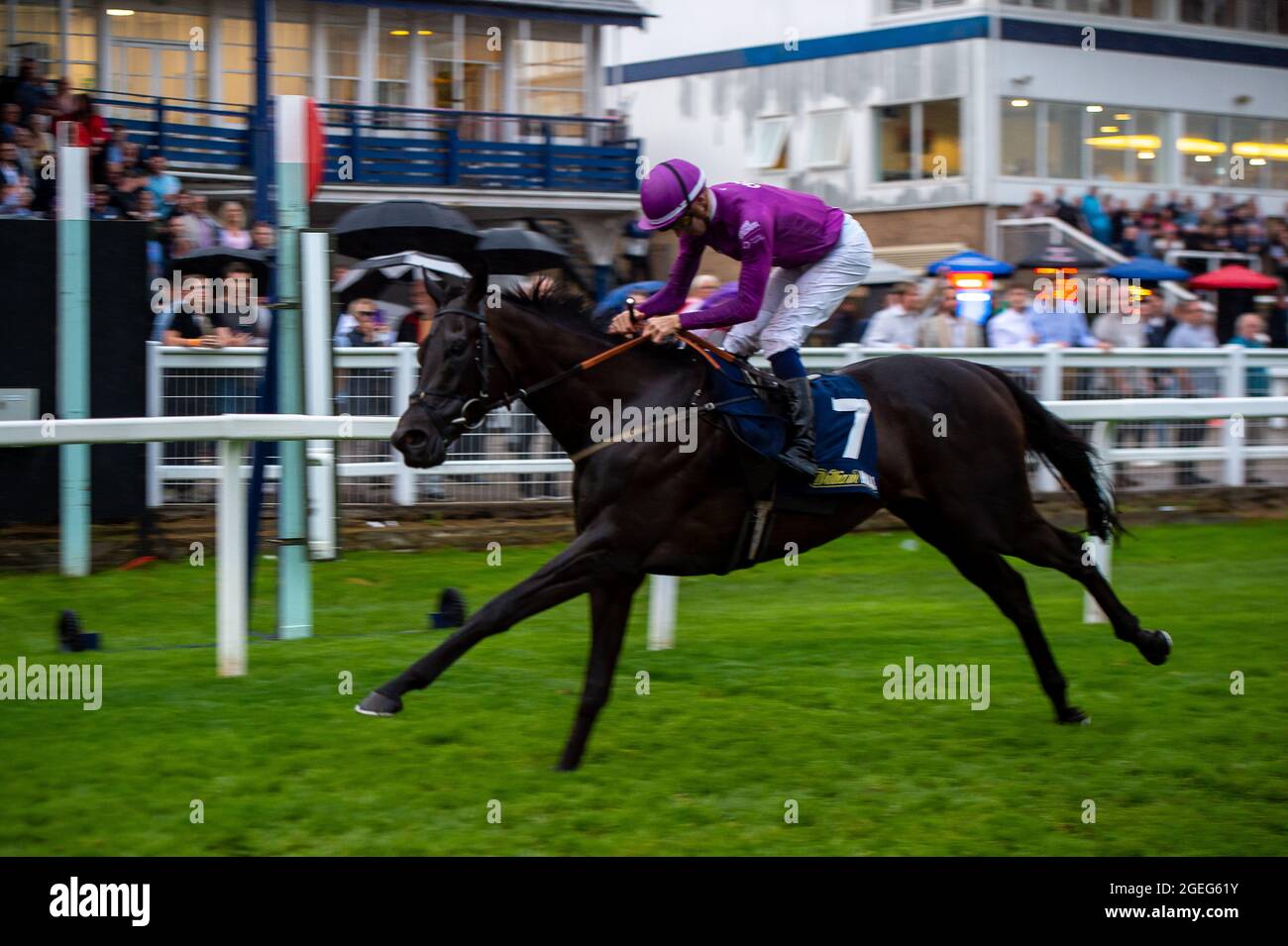 Piaff hi-res stock photography and images - Alamy