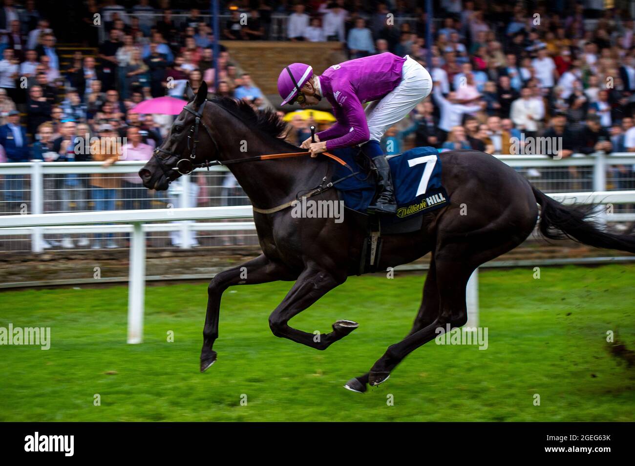 Piaff hi-res stock photography and images - Alamy