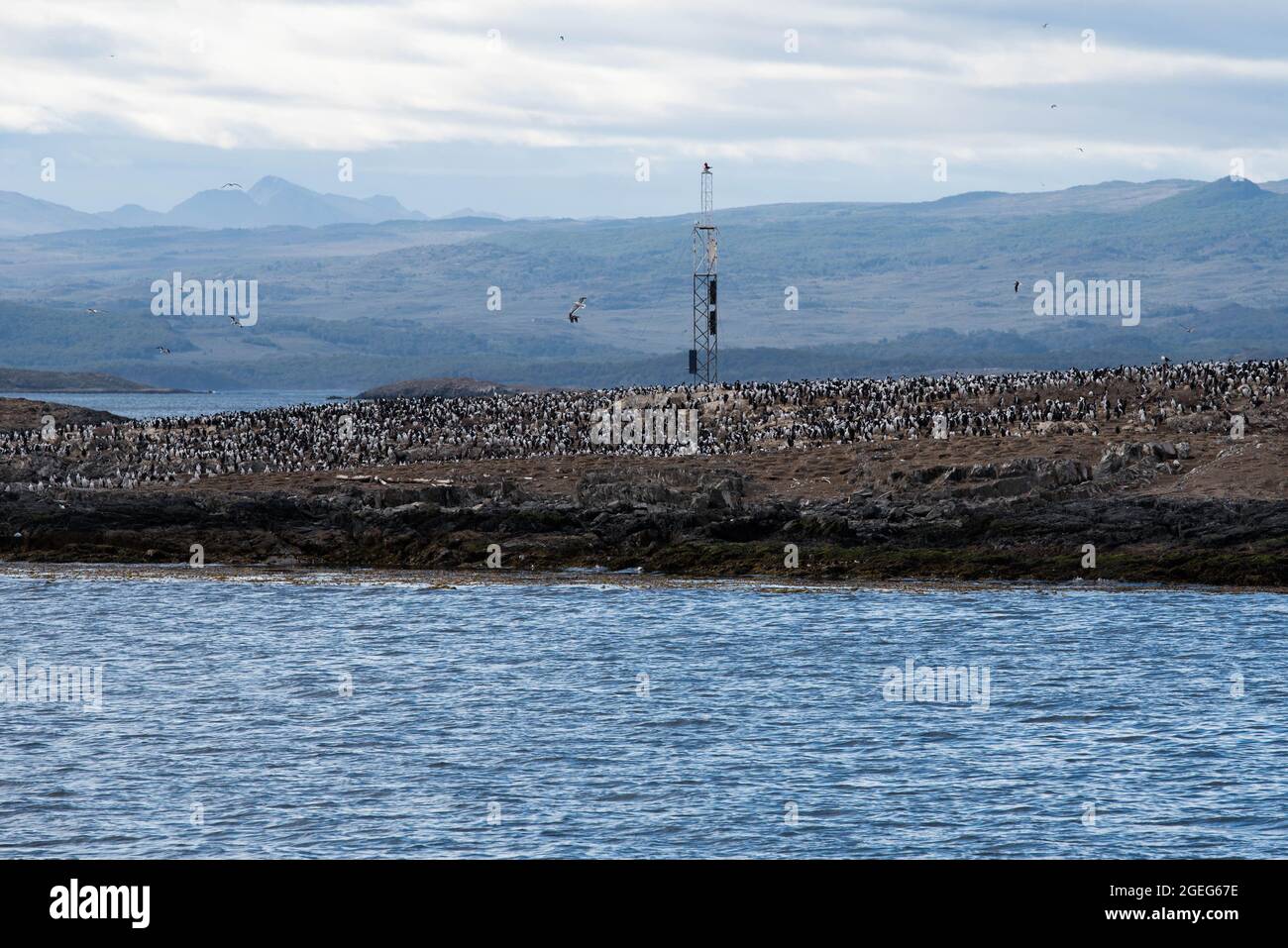 Bird Island in the Beagle Channel near the Ushuaia city. Ushuaia is the ...