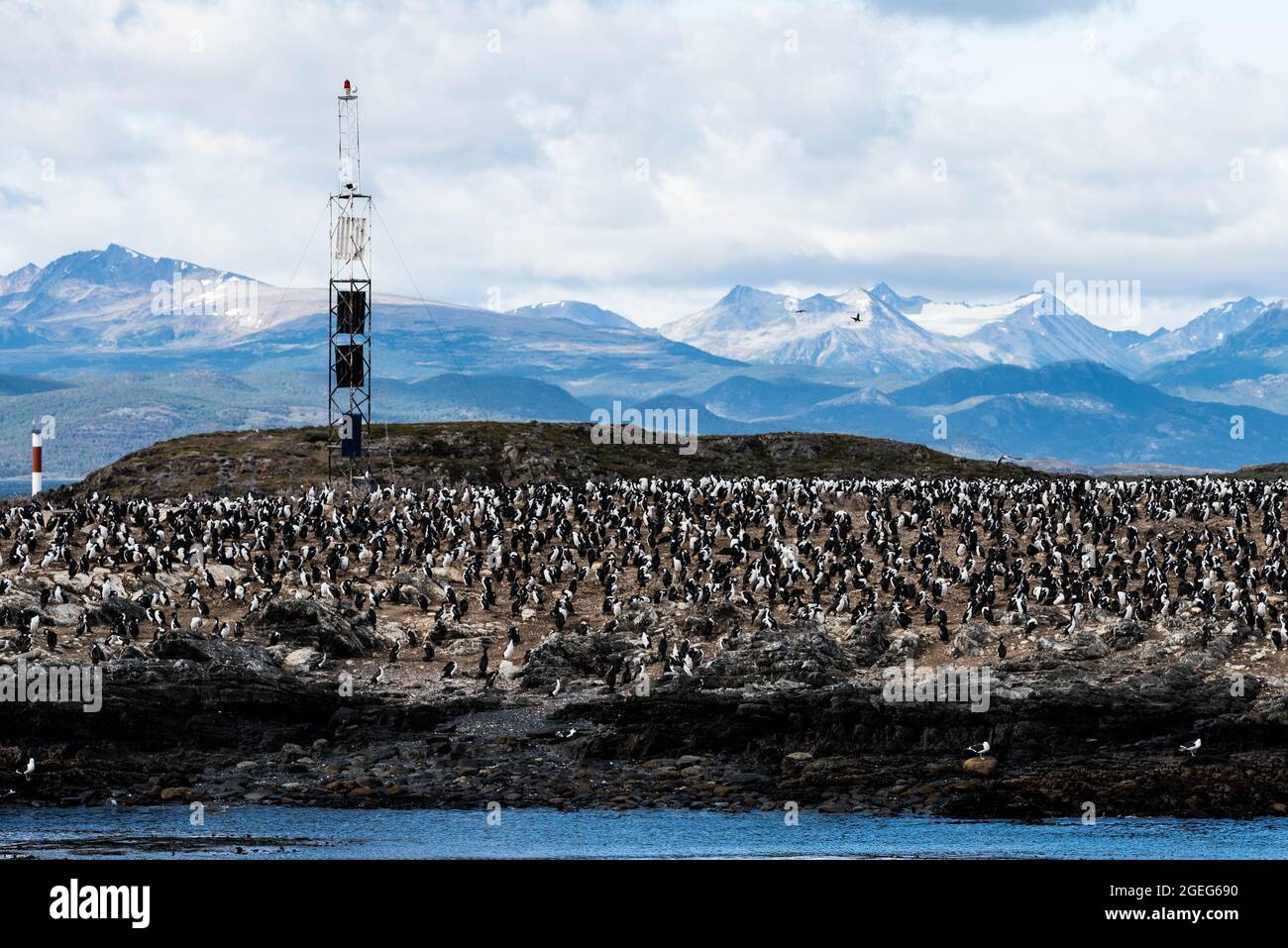 Bird Island in the Beagle Channel near the Ushuaia city. Ushuaia is the ...