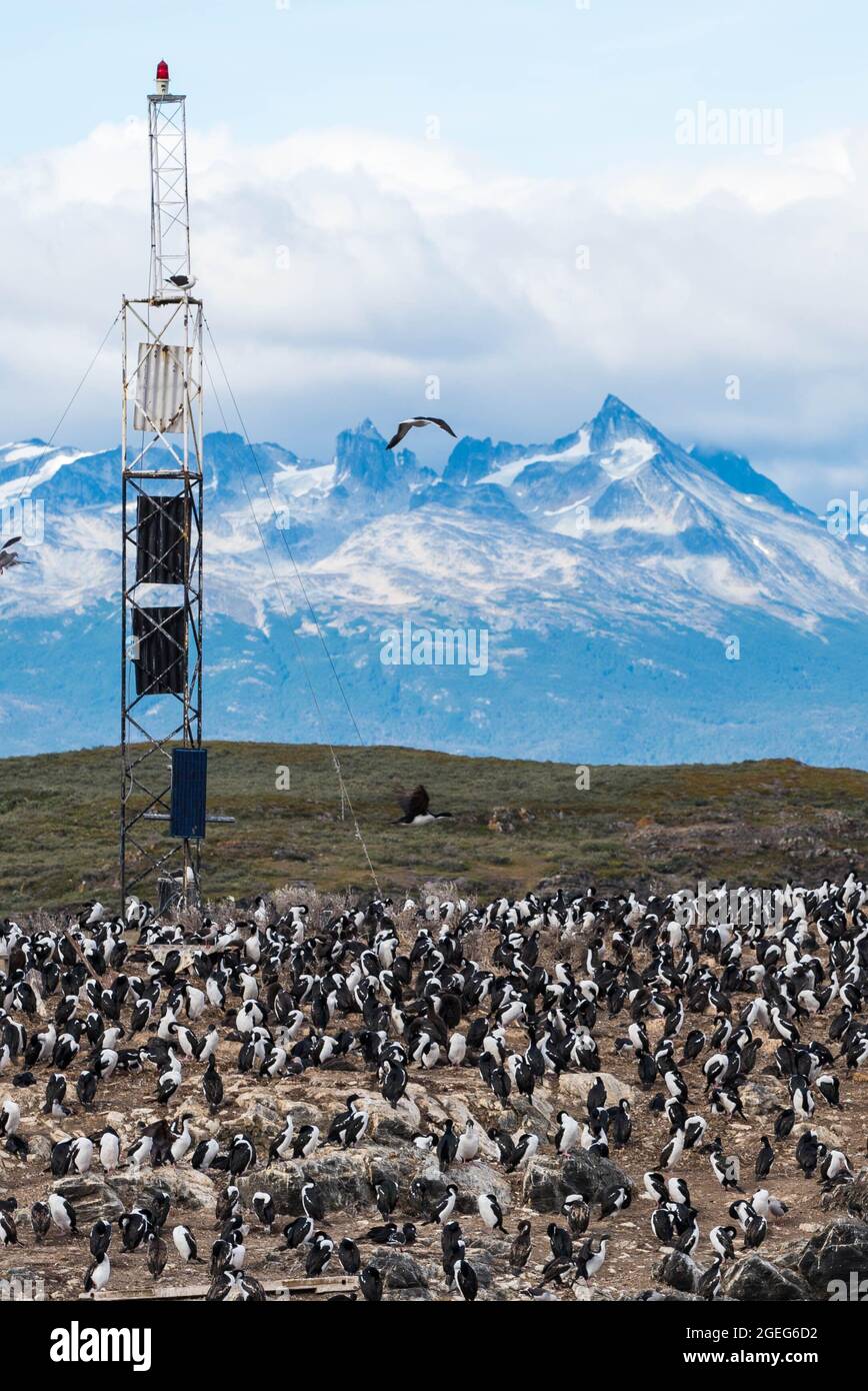 Bird Island in the Beagle Channel near the Ushuaia city. Ushuaia is the ...