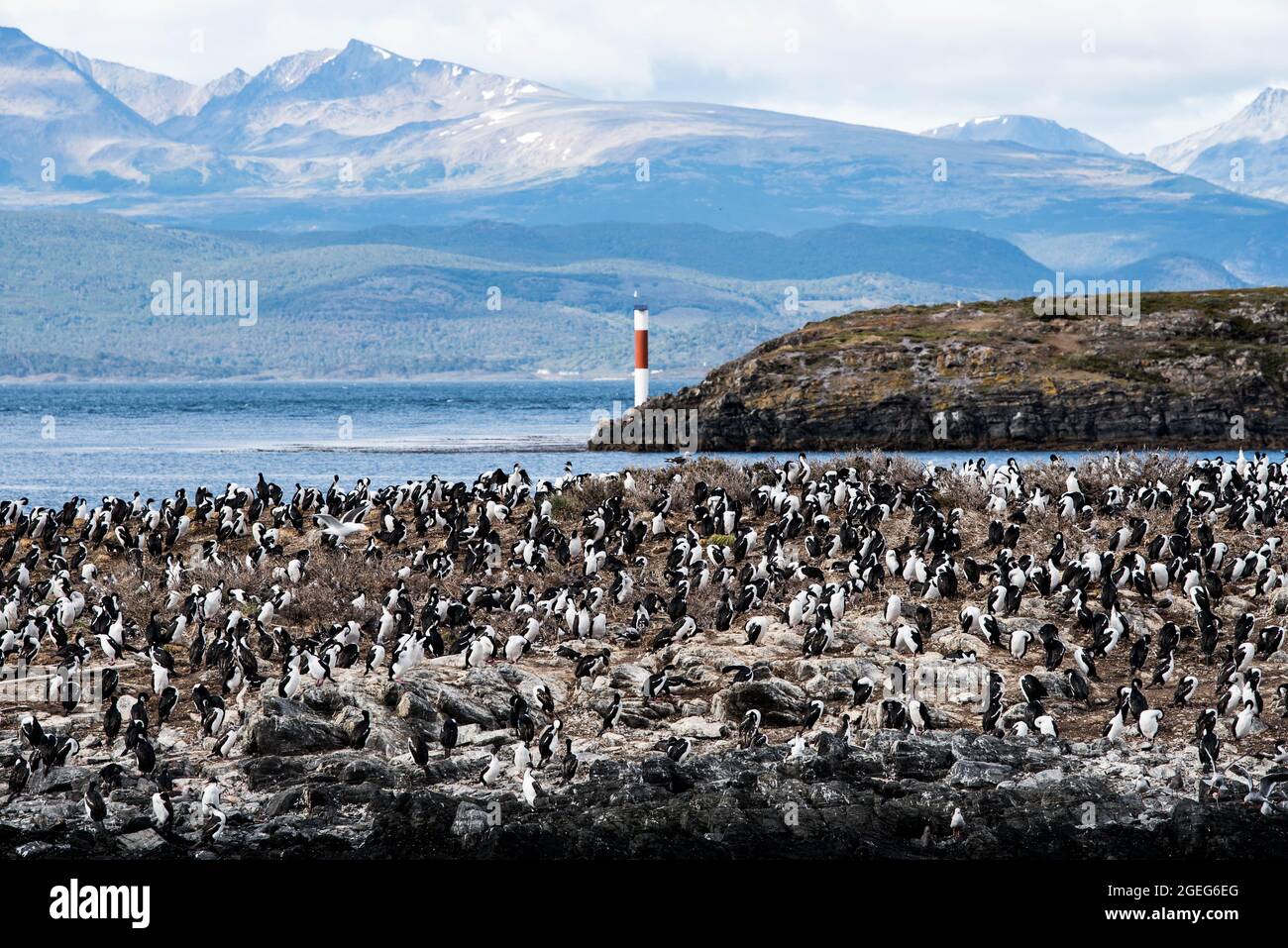 Bird Island in the Beagle Channel near the Ushuaia city. Ushuaia is the ...