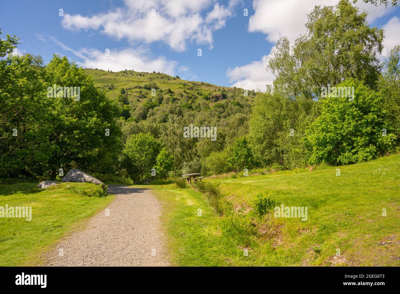 Looking towards Craigmore from David Marshall Lodge above Aberfoyle in ...