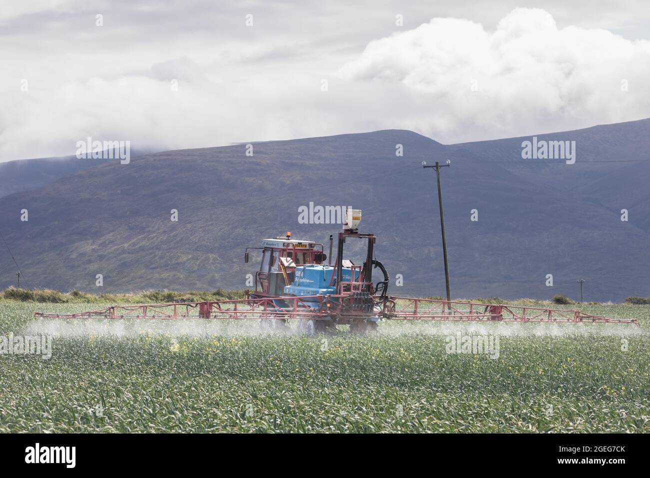 Live news feed hi-res stock photography and images - Alamy