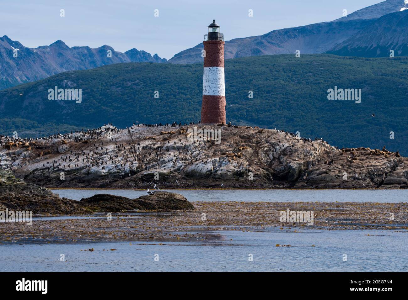 Bird Island in the Beagle Channel near the Ushuaia city. Ushuaia is the ...