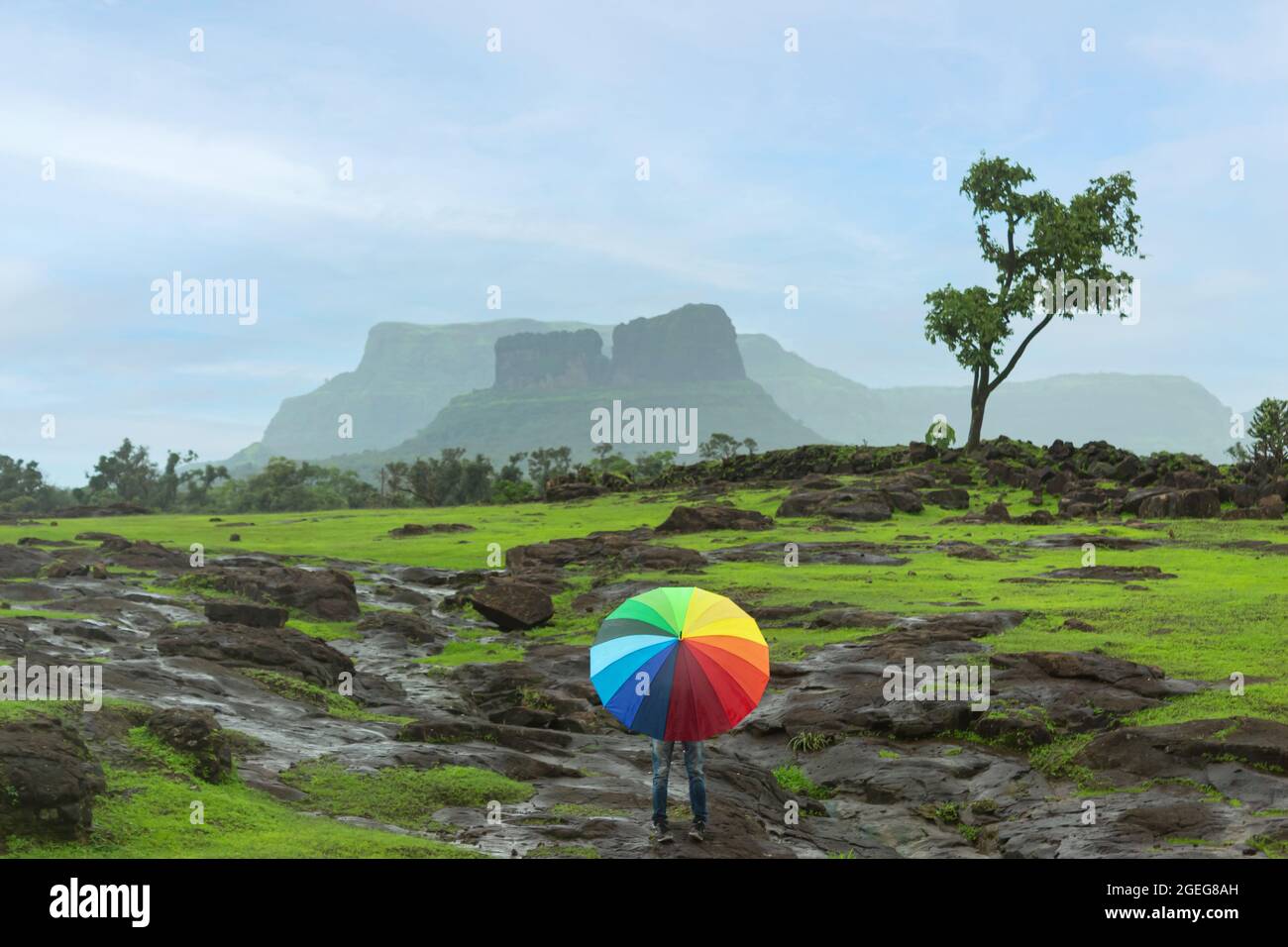 Man standing in the rain with colorful umbrella on Sudhagad Fort ...