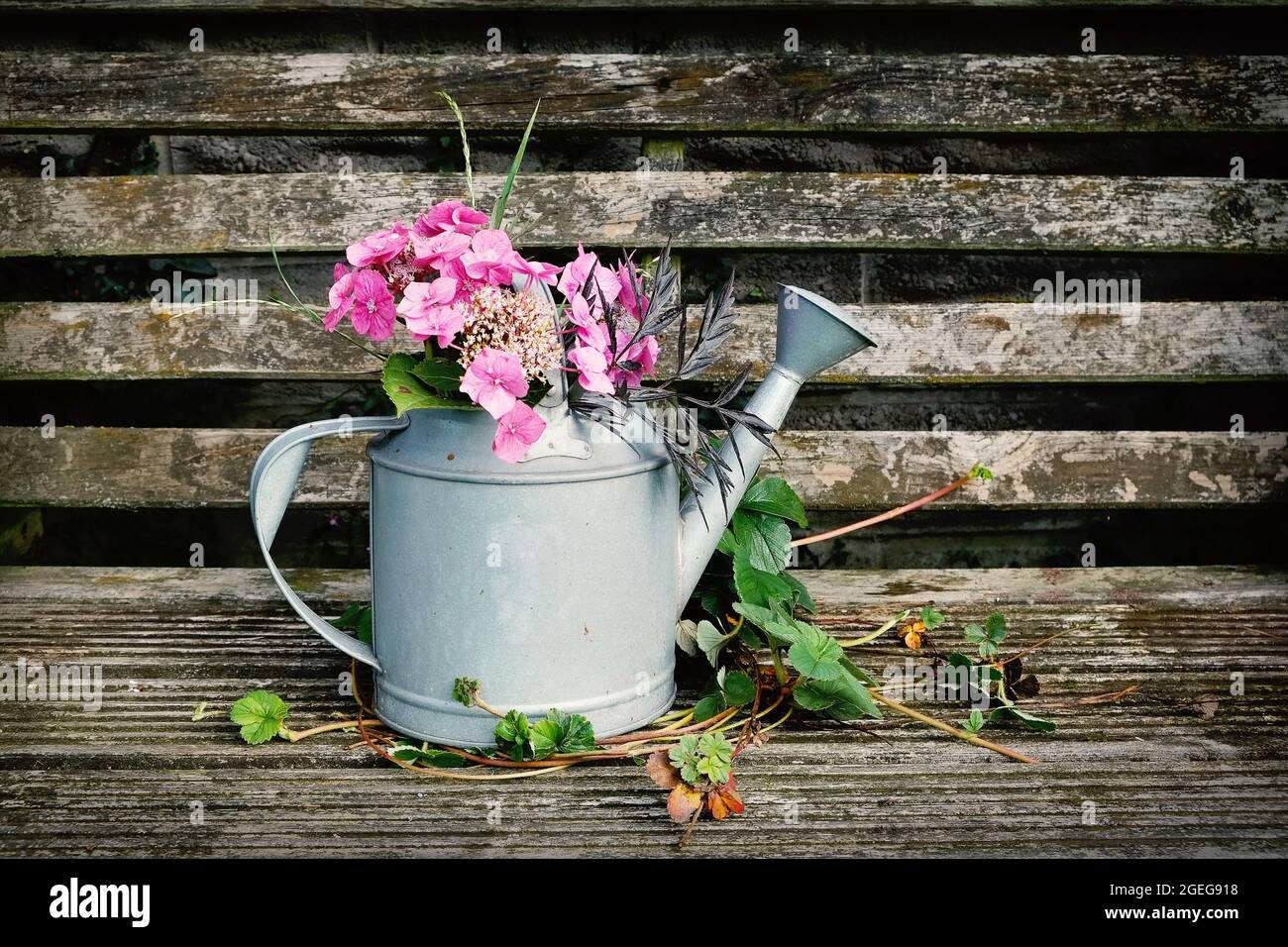 Rustic Watering Can With Flowers