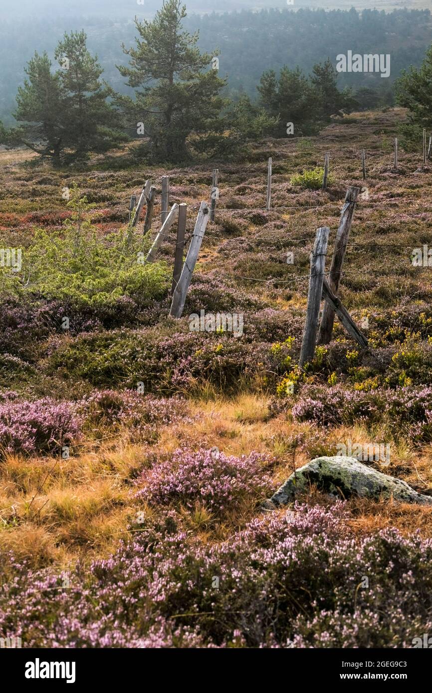 Trail in the cevennes hi-res stock photography and images - Alamy