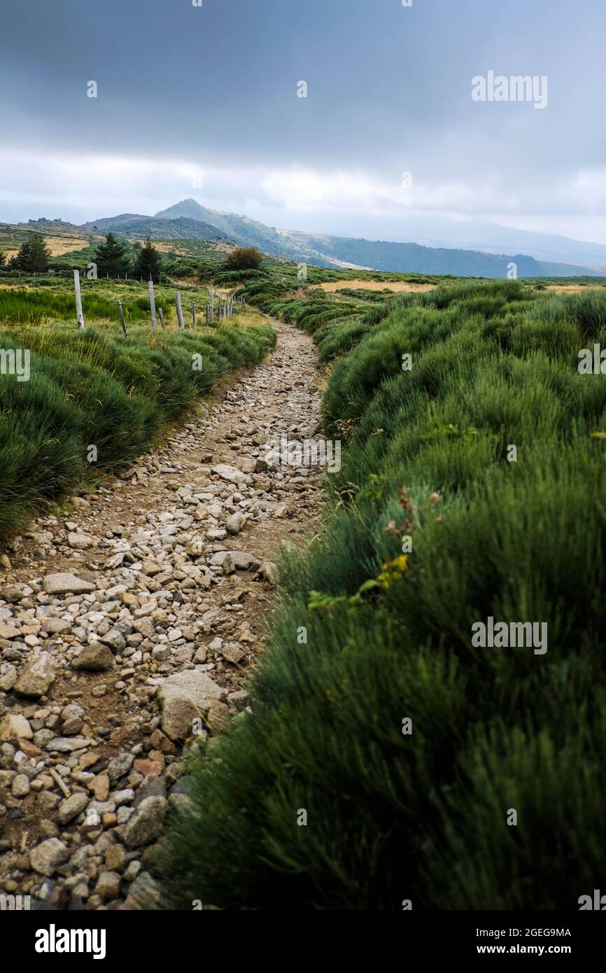 Long distance footpath Chemin de Stevenson, Robert Louis Stevenson ...