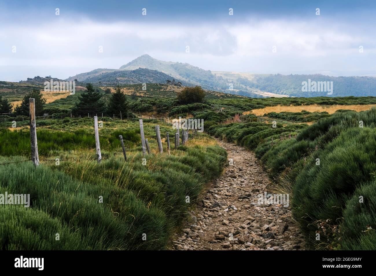 Robert i of france hi-res stock photography and images - Alamy