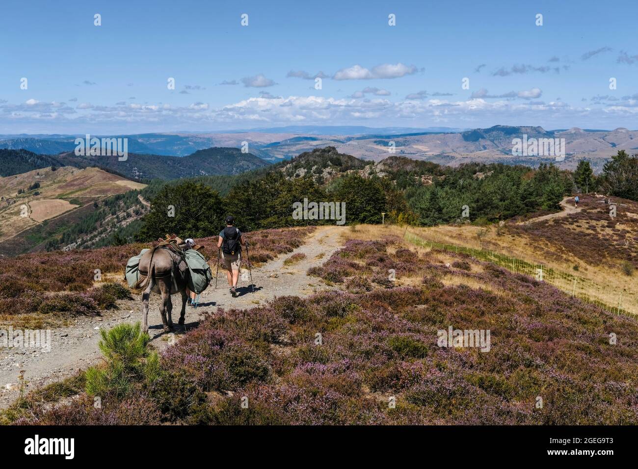 Long distance footpath Chemin de Stevenson, Robert Louis Stevenson ...