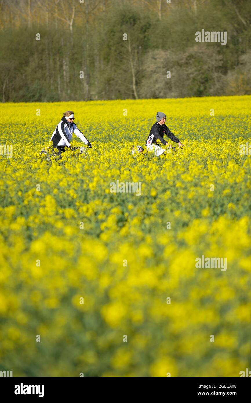 Avenue verte cycle route hi-res stock photography and images - Alamy