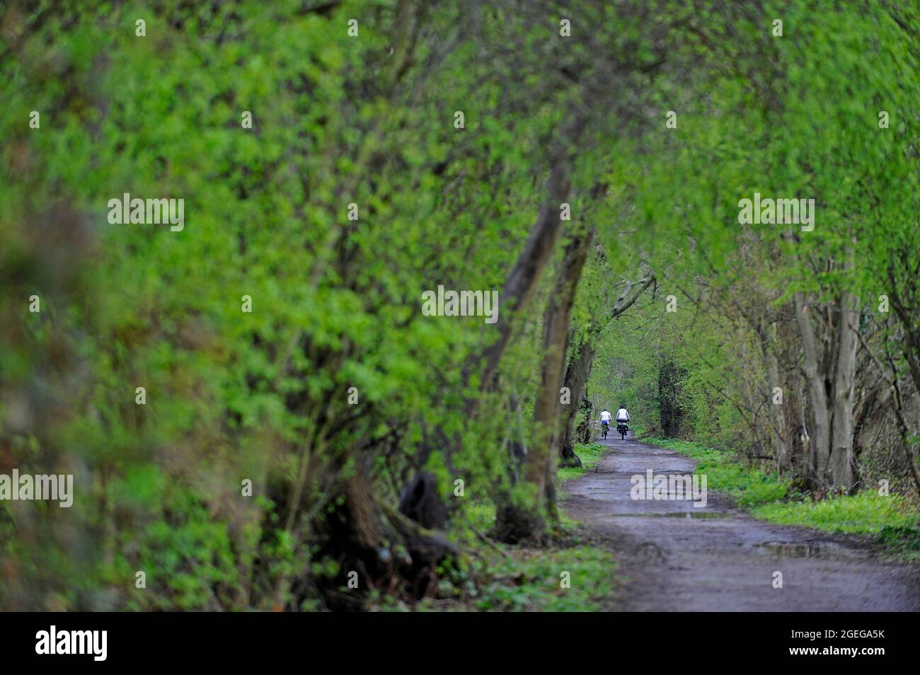 Cycling a tourist route hi-res stock photography and images - Alamy