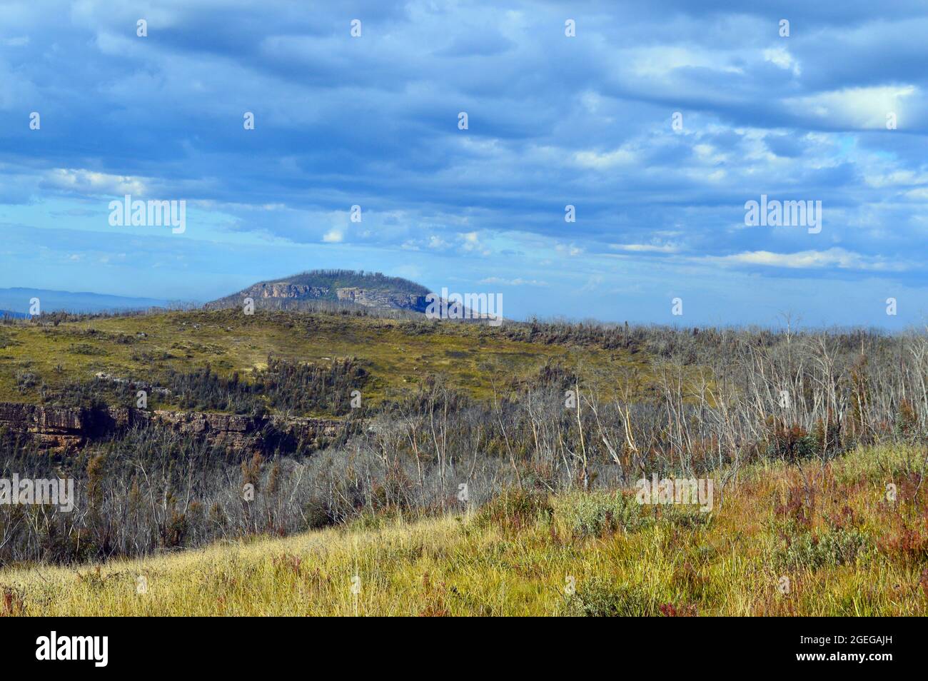 Lockleys pylon walking hi-res stock photography and images - Alamy