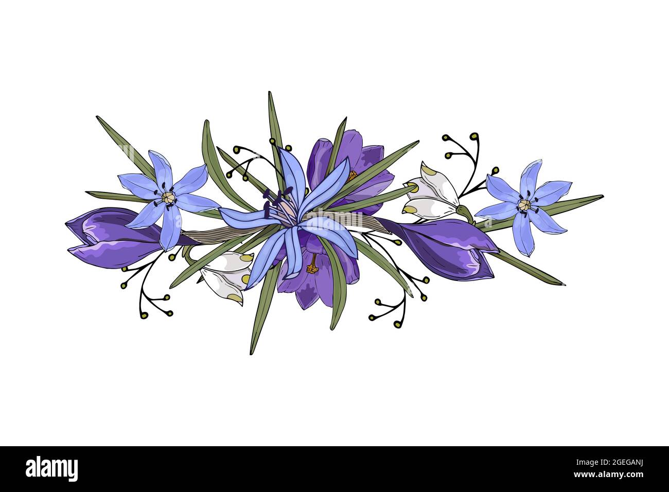 Ornament beautiful delicate doodling flowers crocus leaves twigs hand ...