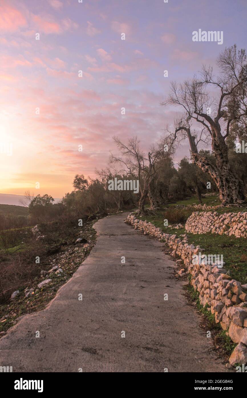 Old pathway hi-res stock photography and images - Alamy