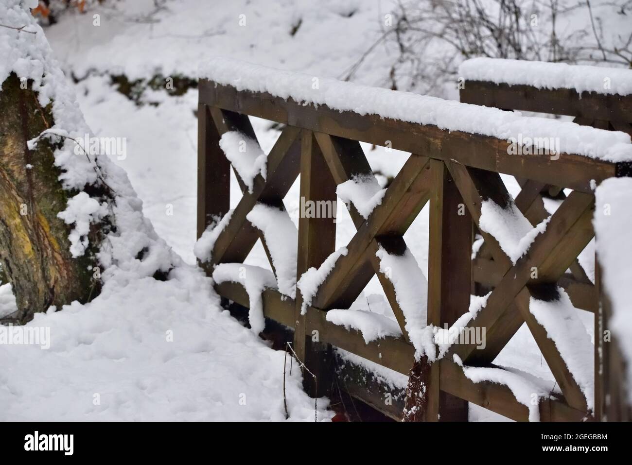 snow-covered wooden bridge in the forest Stock Photo - Alamy