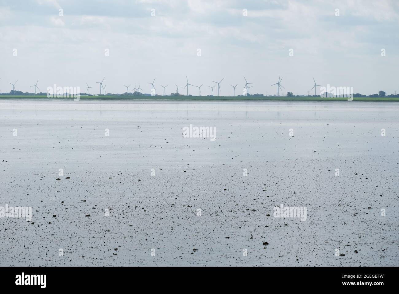 Wind turbines at the Seabird habitat UNESCO world natural heritage ...