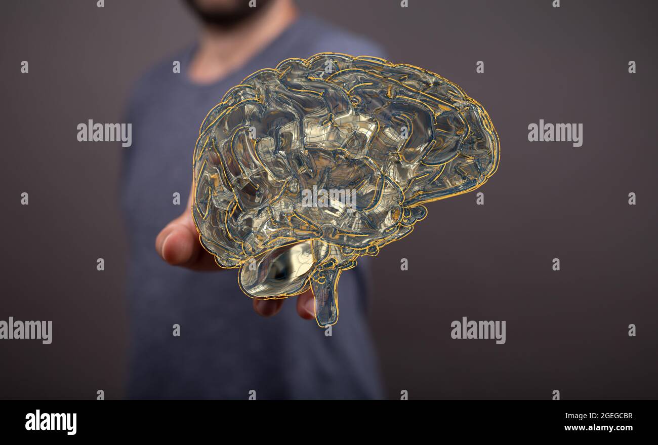 Male's hand holding an illustrated golden human brain Stock Photo - Alamy