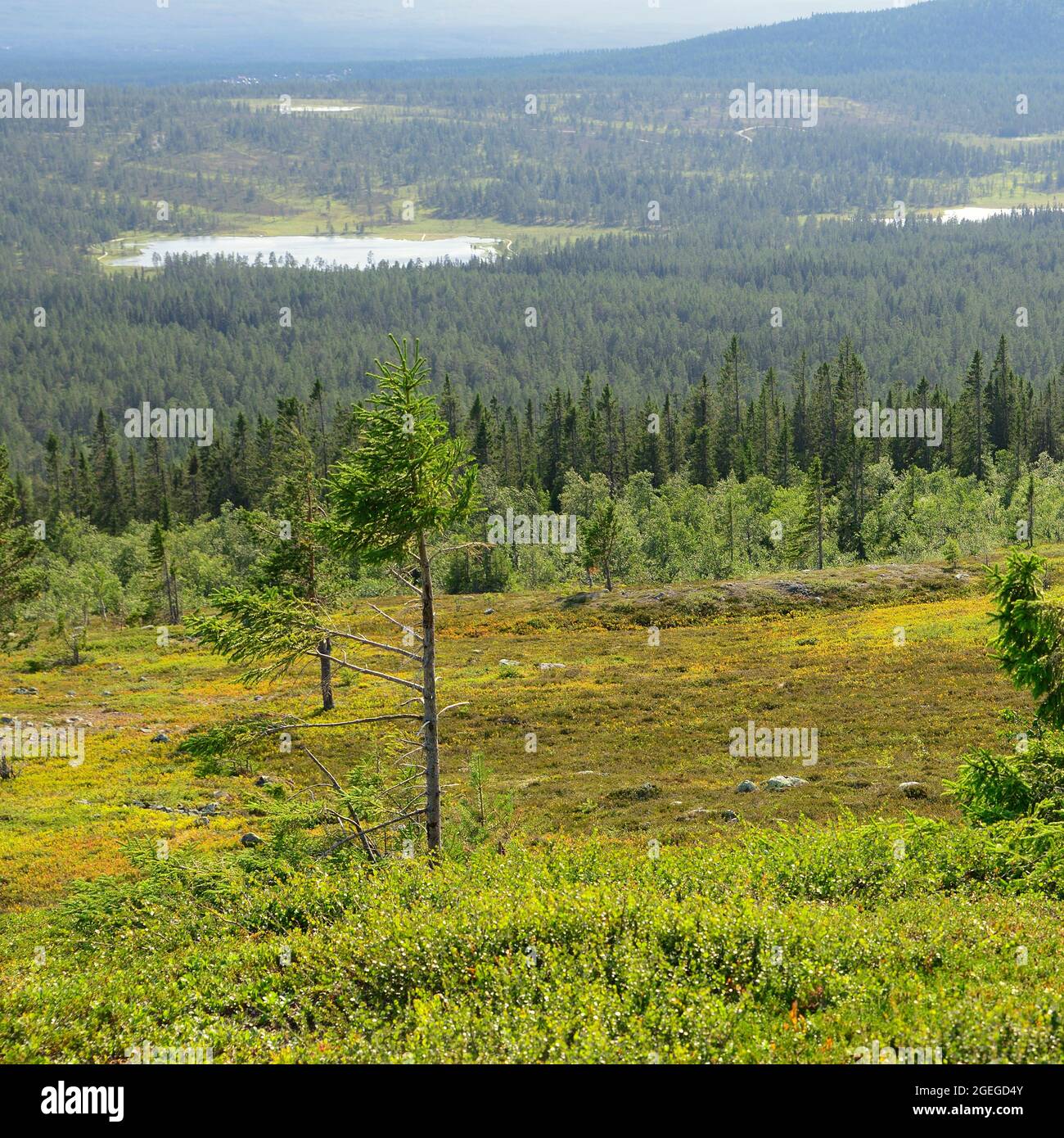 Idre mountain hi-res stock photography and images - Alamy