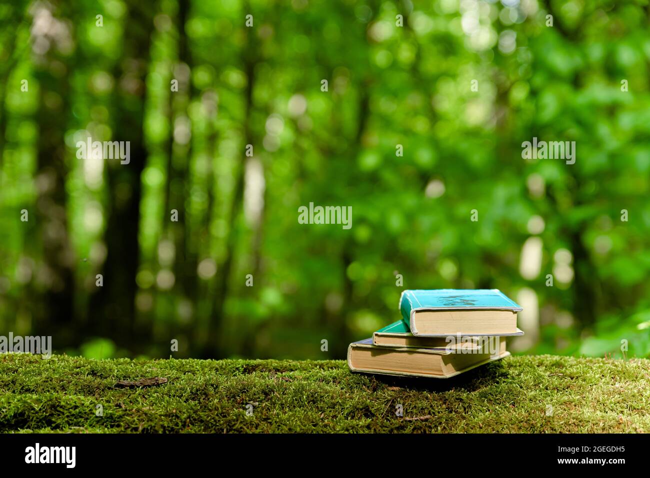 Old books lying on green moss in forest with trees in background. Books ...