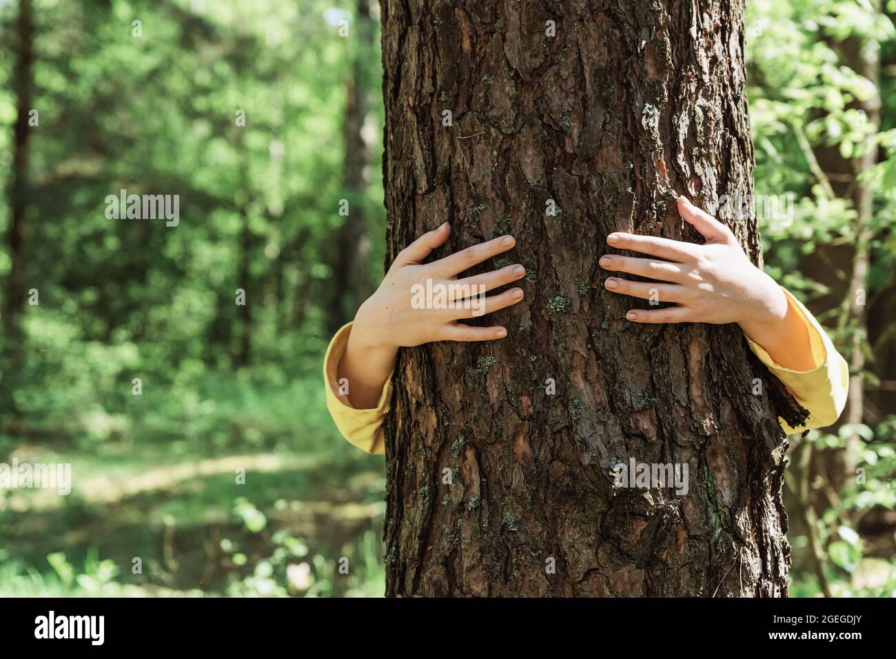 Woman hugging old tree in forest, embracing tree trunk with hands ...